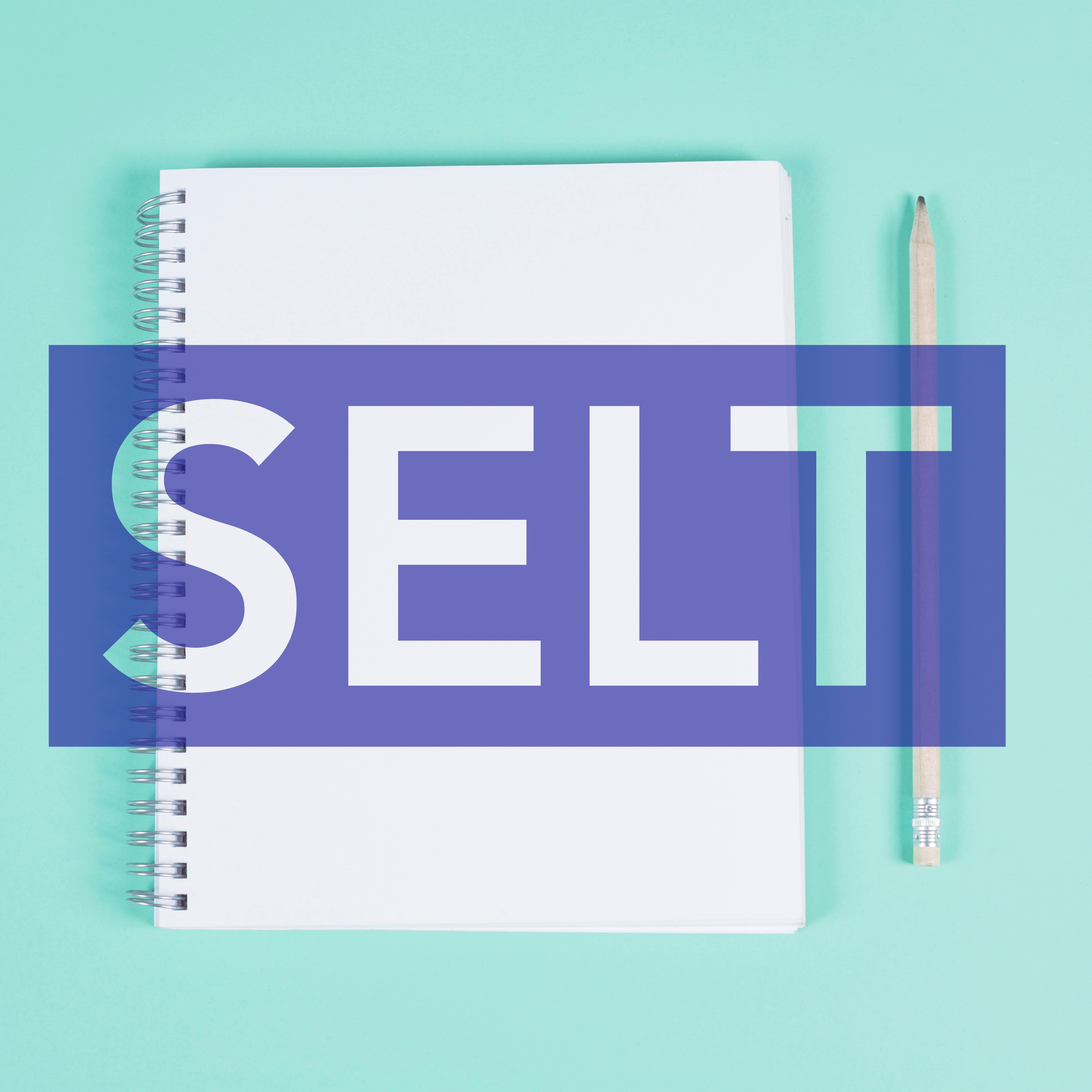 Andreea Berkhout - SELT Preparation